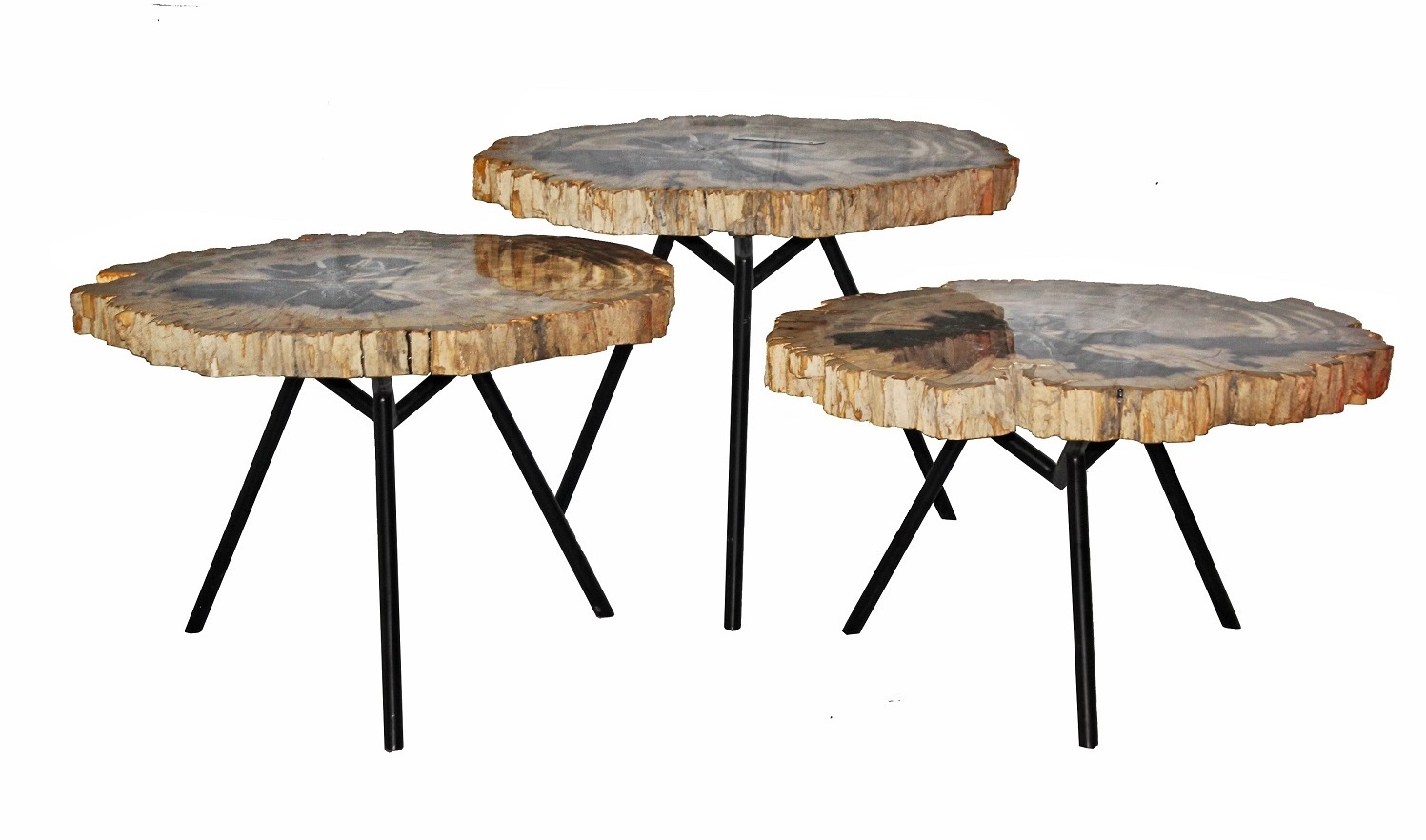 TRIAGE TABLE SET - LIGHT